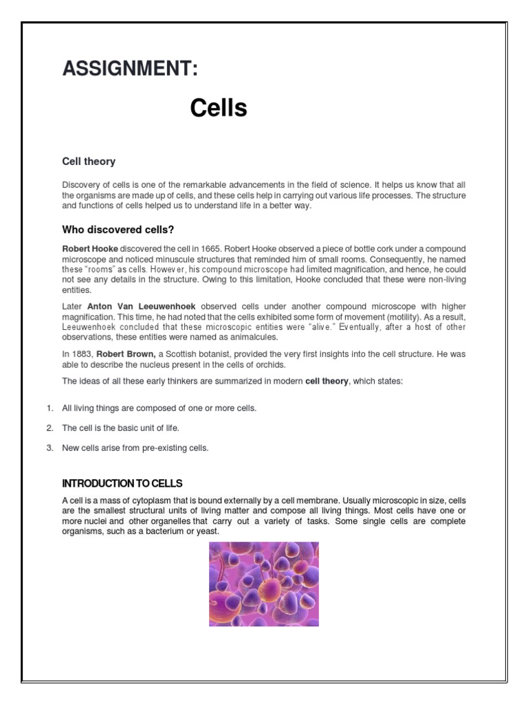 Cells Assignment | PDF | Cell (Biology) | Mitosis