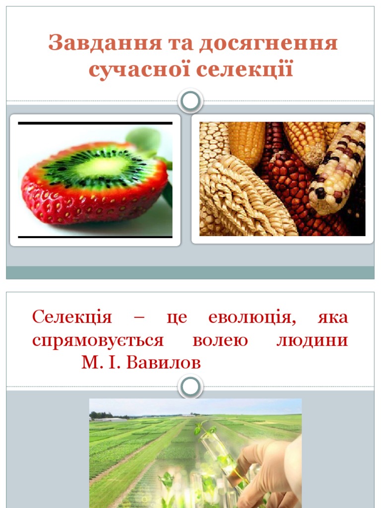 232902 | PDF