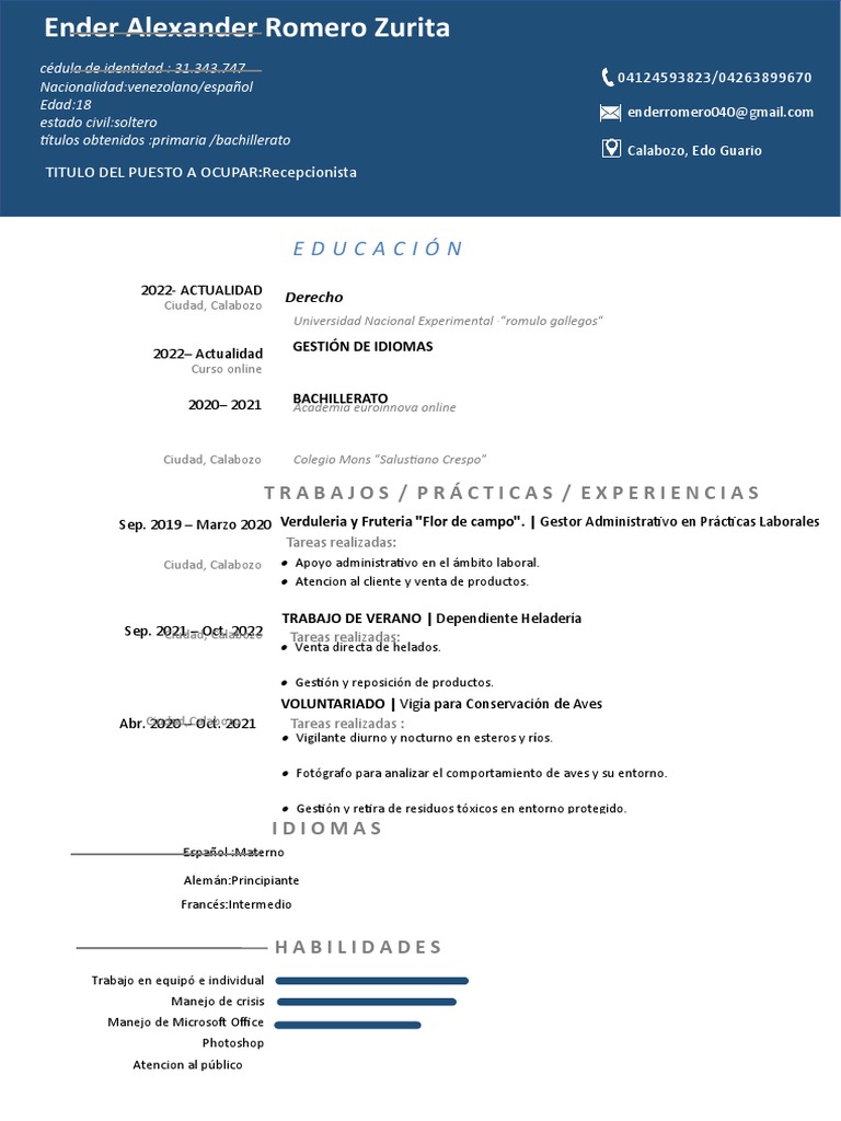 Modelo para elaborar un currículum | PDF