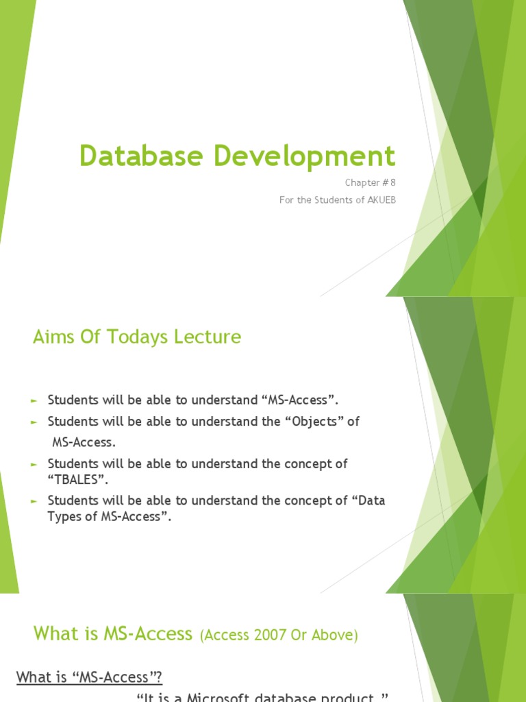 Database Development - CHP - 8 | PDF | Microsoft Access | Visual Basic For Applications