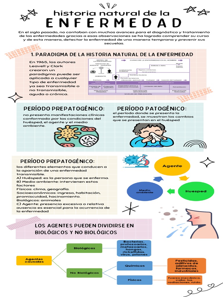 Infografía de La Historia Natural de La Enfermedad | PDF | Síntoma ...