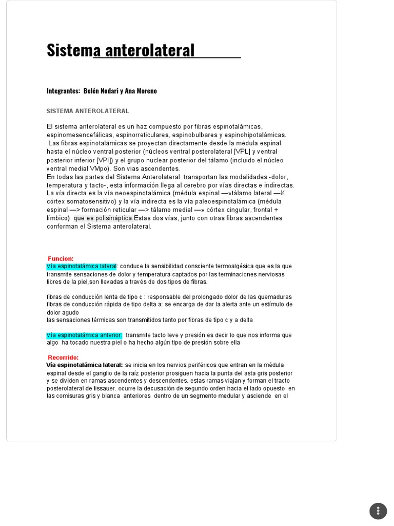 Sistema Anterolateral - UNAJ - Anatomía | PDF | Sistema nervioso ...