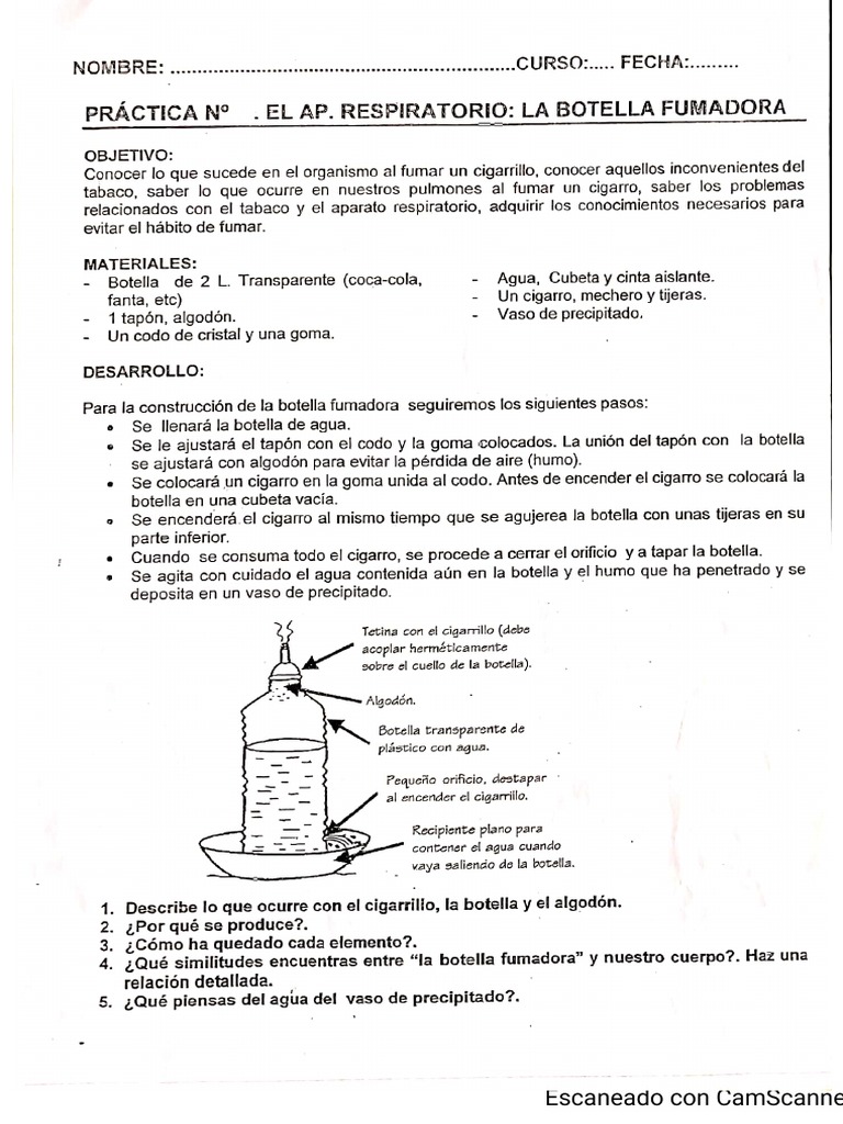 Botella Fumadora y Pulmón Artificial | PDF