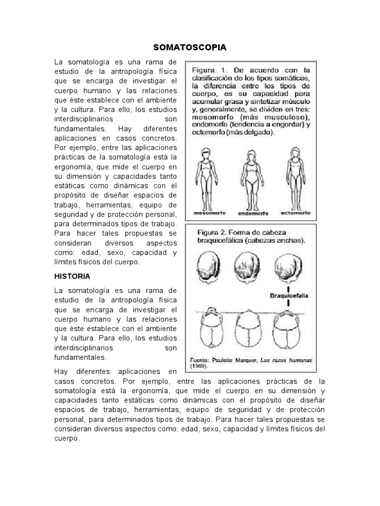 SOMATOS | PDF | Vértebra | La columna vertebral