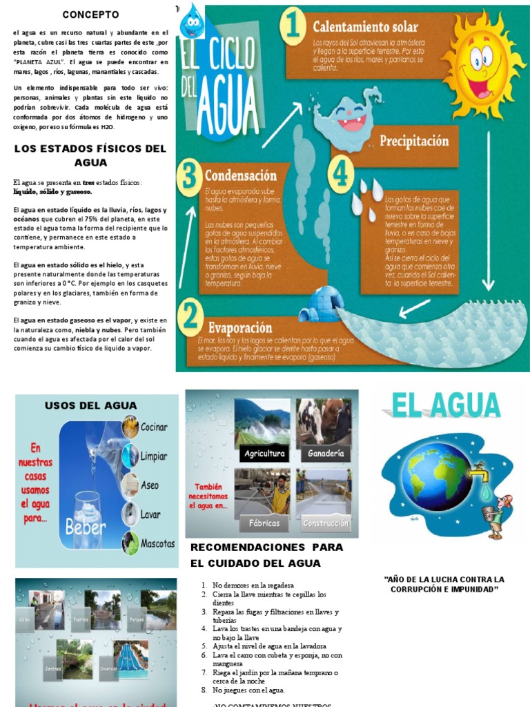 Tríptico Agua Plantilla | PDF