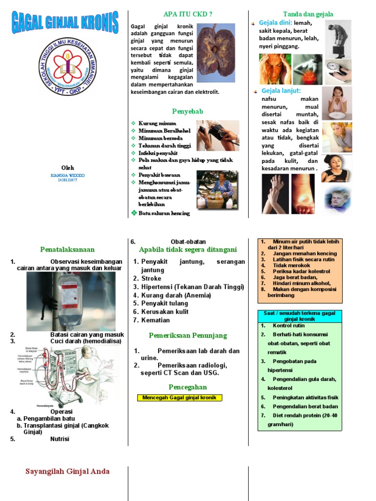 Leaflet GGK CKD | PDF