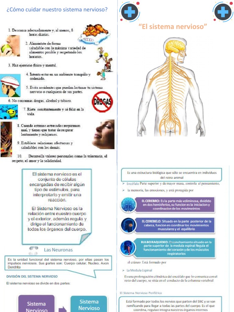 Diptico de Como Cuidar Nuestro Sistema Nervioso | PDF