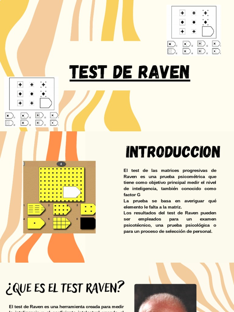 Test Raven | PDF