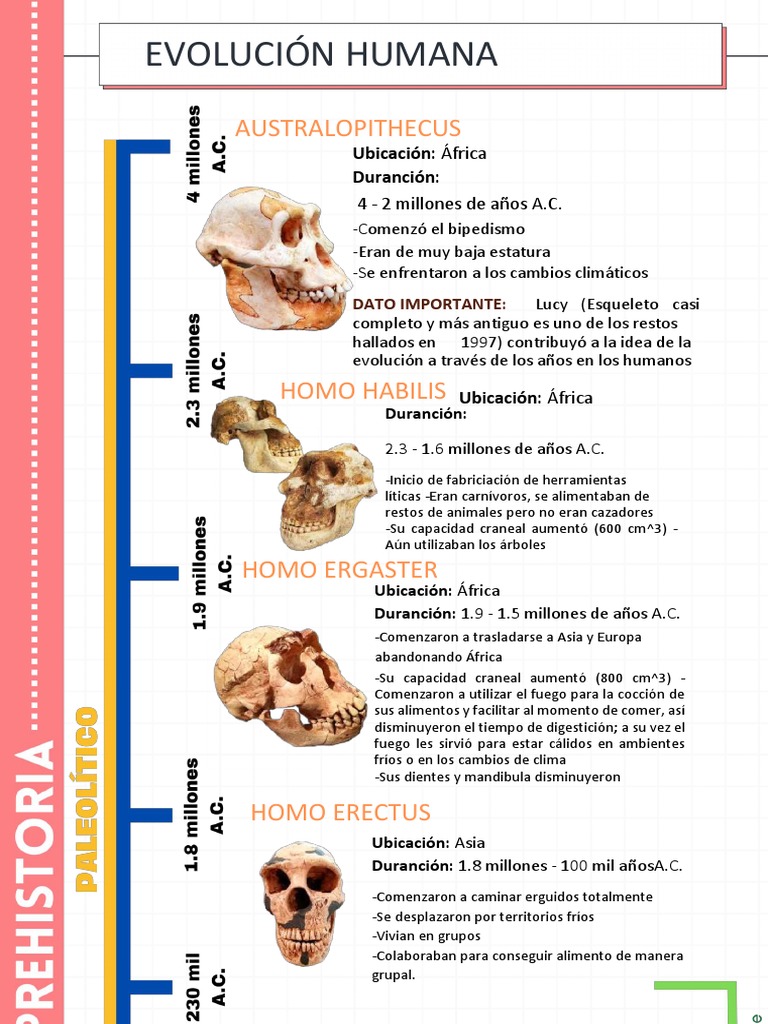 La Evolucion Del Ser Humano | PDF | Homo Sapiens | Evolución humana