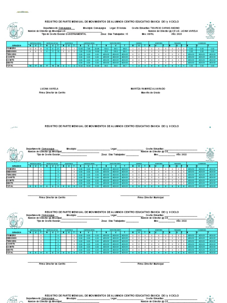 Copia de MODELO GENERAL DE PARTE MENSUAL Maritza El Volcán 2023 | PDF