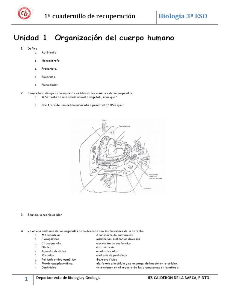 Cuadernillo-Pendientes 3ESO | PDF | Digestión | Biología Celular) Cuadernillo-Pendientes 3ESO | PDF | Digestión | Biología Celular)