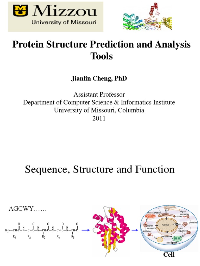 Protein STR | Download Free PDF | Alpha Helix | Proteins