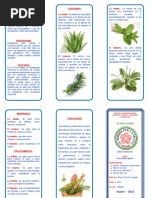 Triptico de Planta Medicinal | PDF | Plantas medicinales | Agua
