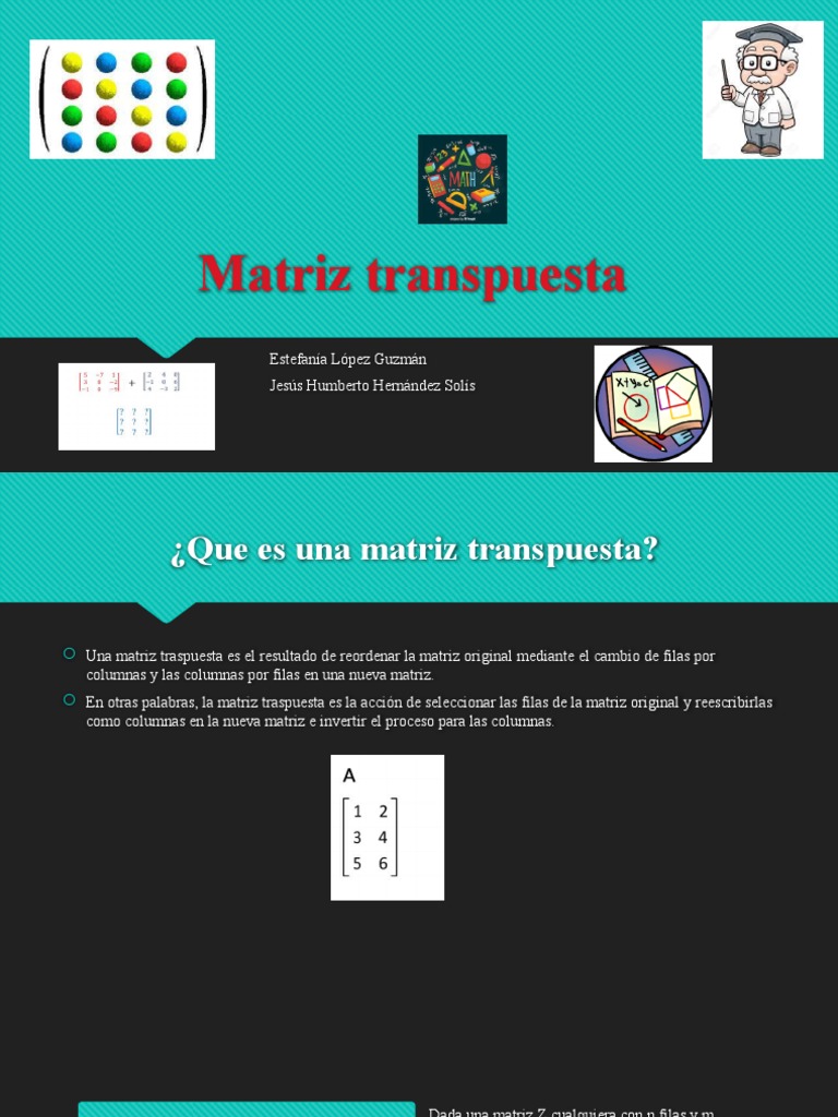 Matriz Transpuesta | PDF