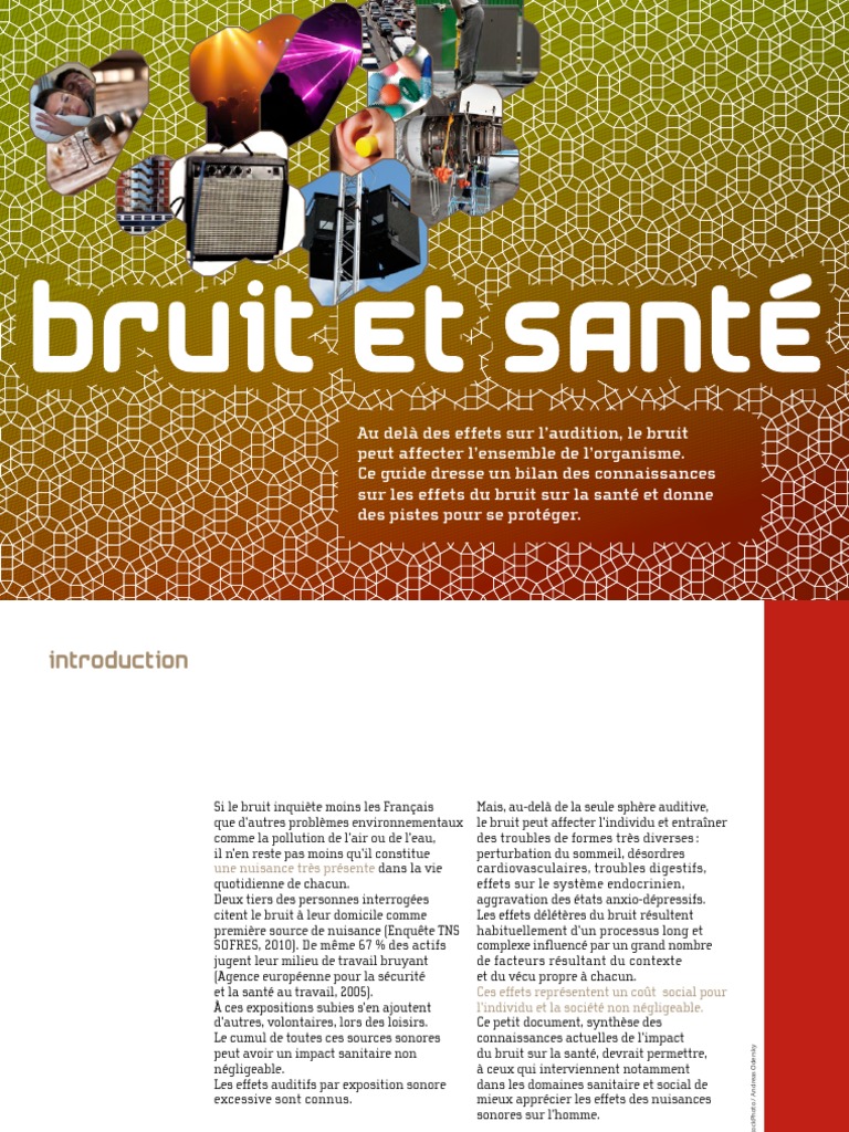 Guide Bruit Sante Cidb 2017 | PDF | Son | Oreille