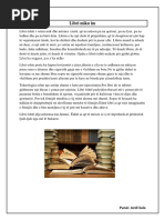 Shpella e Pirateve | PDF