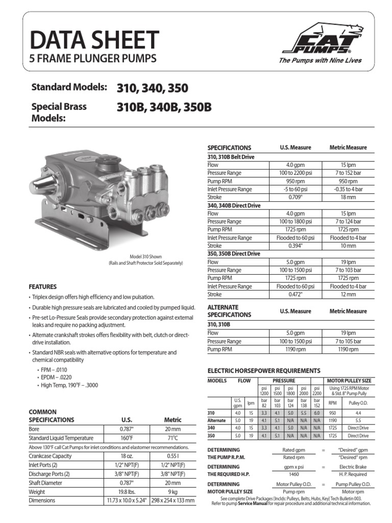 Pluger_pump_310_N_Cat_pumps | PDF | Pump | Belt (Mechanical)