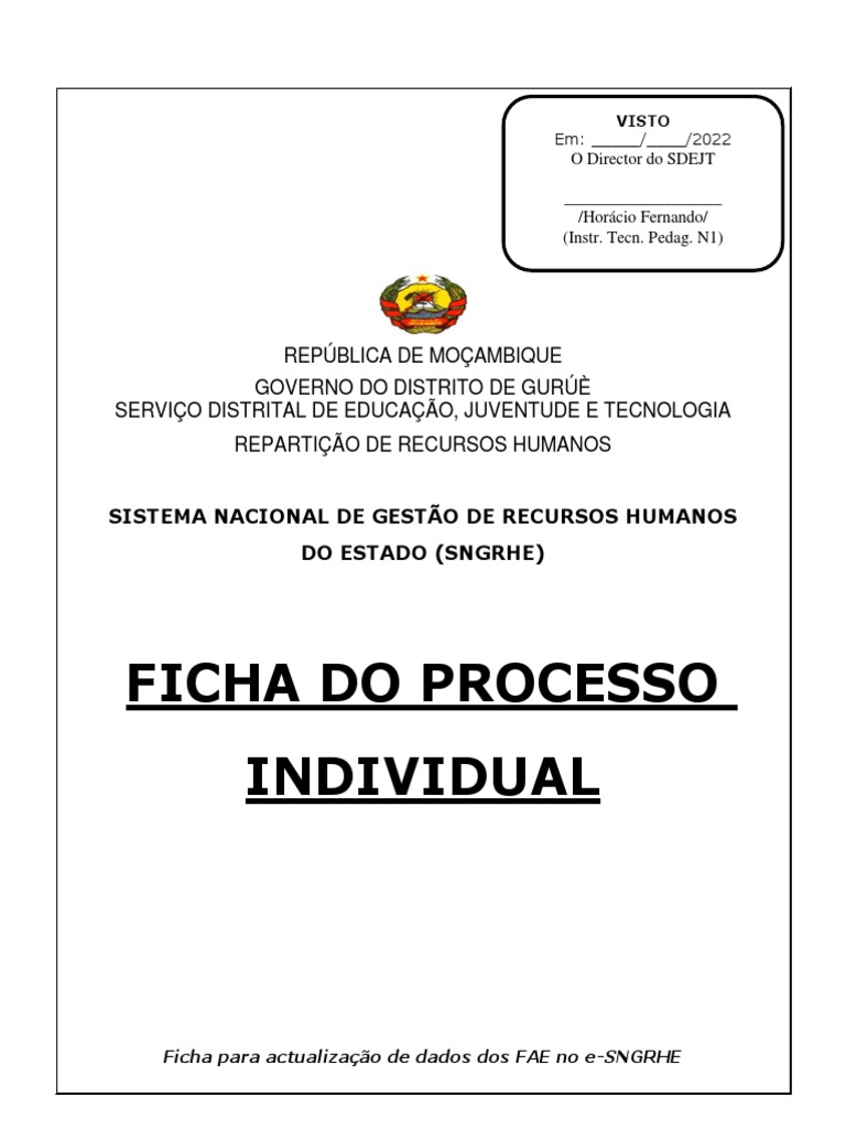 Ficha Modelo de Pi No Ambito Do Sngrhe Gurue | PDF