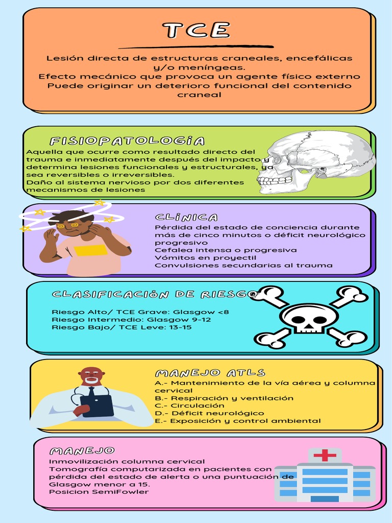 Infografia TCE | PDF