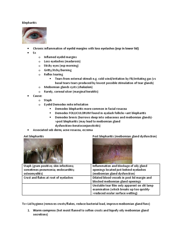 Blepharitis | PDF | Epidemiology | Medicine