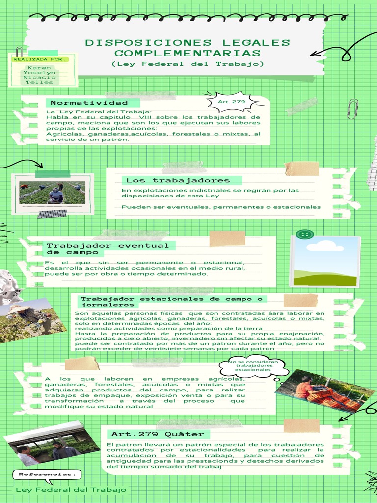 Disposiciones Legales Complementarias | PDF | Salario