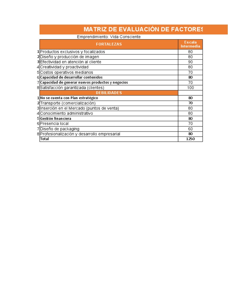 Matriz de Evaluación de Factores Internos: Fortalezas Escala Intermedia | PDF