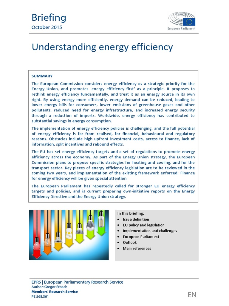 Understanding Energy Efficiency | PDF | Efficient Energy Use | Energy ...