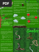 FEMA Org Chart | PDF | United States Department Of Homeland Security ...