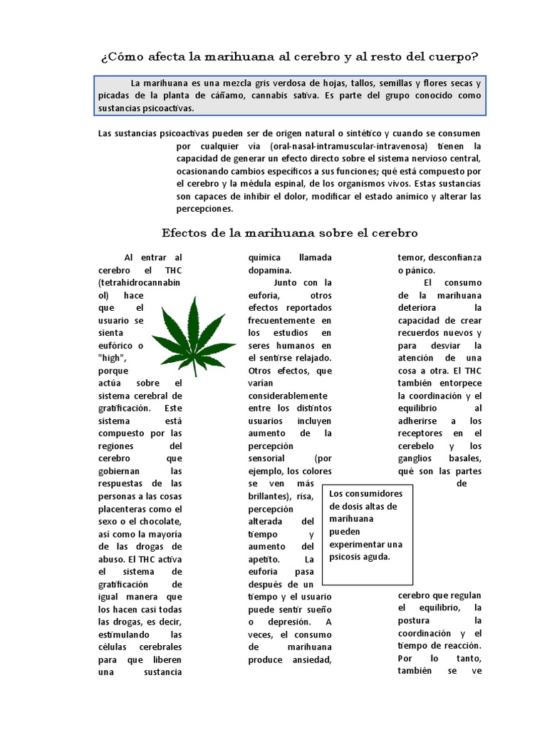 Word2016-TP6 - OBLIGATORIO - INTEGRADOR | PDF