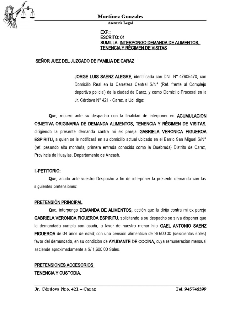 Demanda Alimentos y Tenencia | PDF | Demanda judicial | Chile