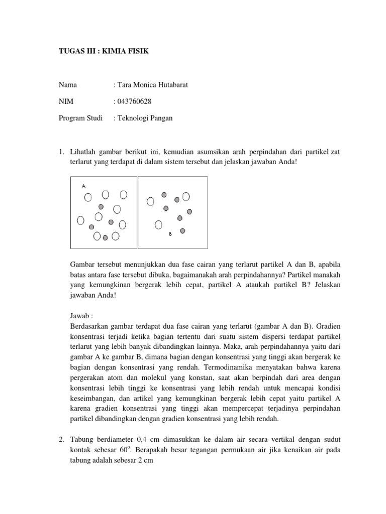 Tugas III - Kimia Fisik | PDF