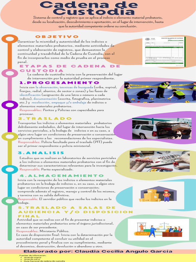 Infografia Cadena de Custodia | PDF