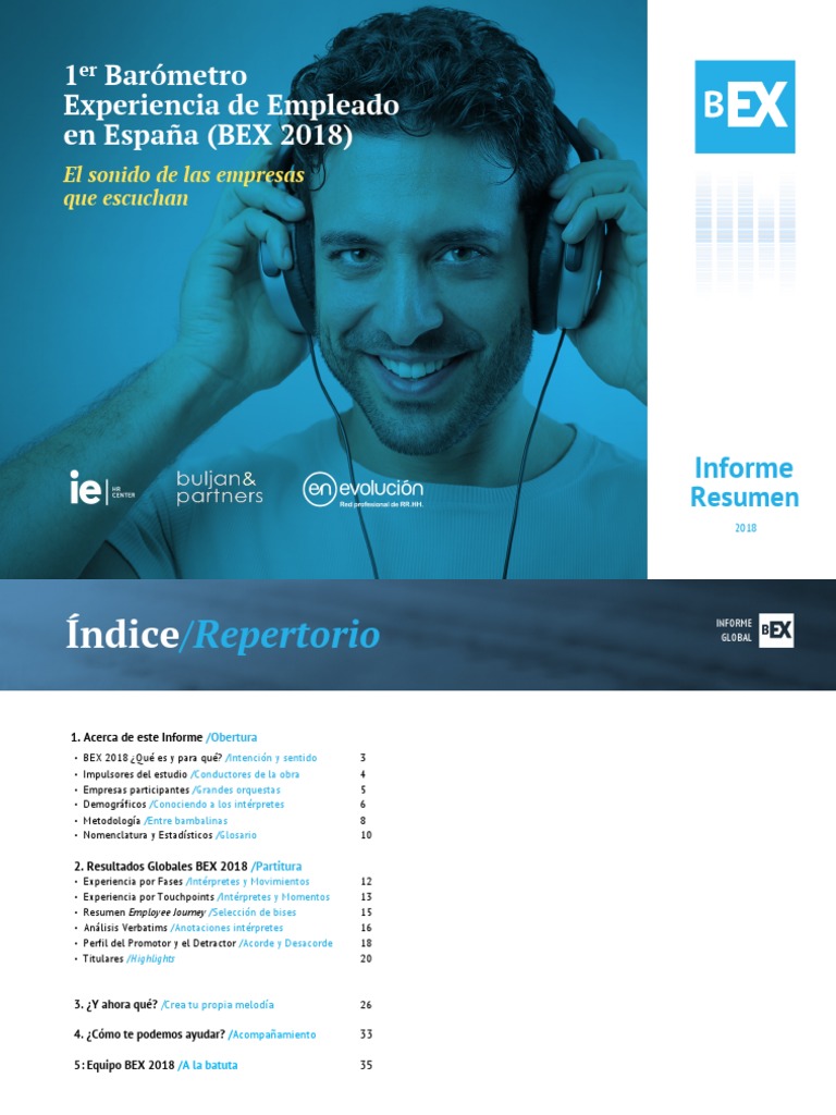 Informe Resumen - BEX 2018 | PDF | Las emociones | Estadísticas