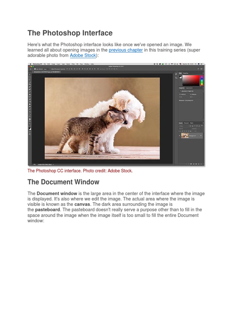Overview of Photoshop Interface Components | PDF | Adobe Photoshop ...