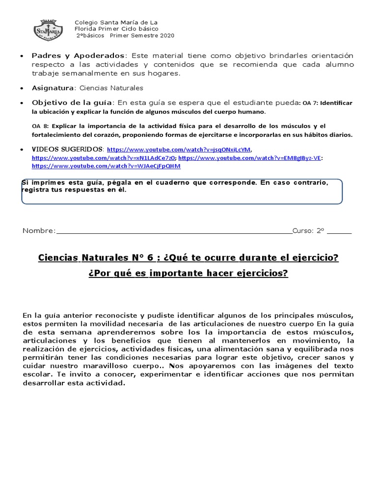 2°básico Ciencias Naturales Guía 6. Profesoras Segundo Básico | PDF
