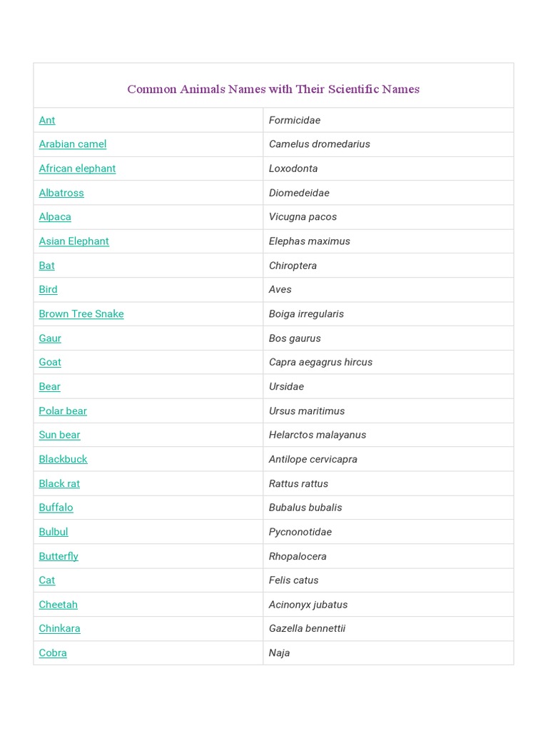Animal Scientific Names | PDF | Leopard | Organisms