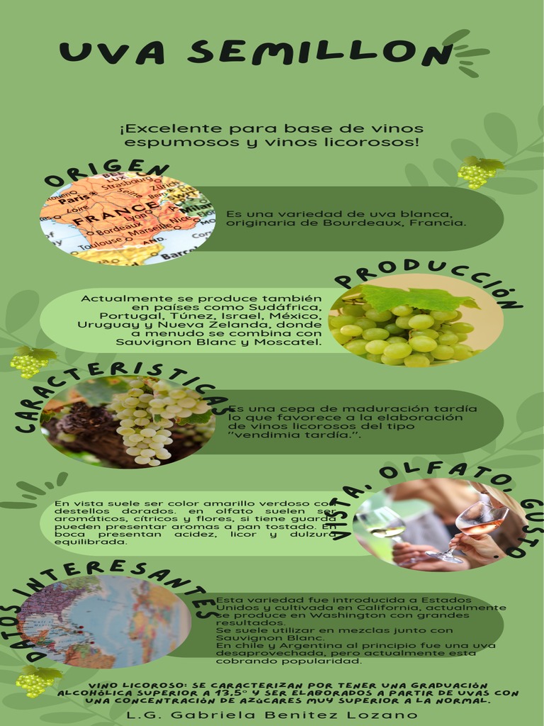 Semillon | PDF | Vino | Variedades de uva
