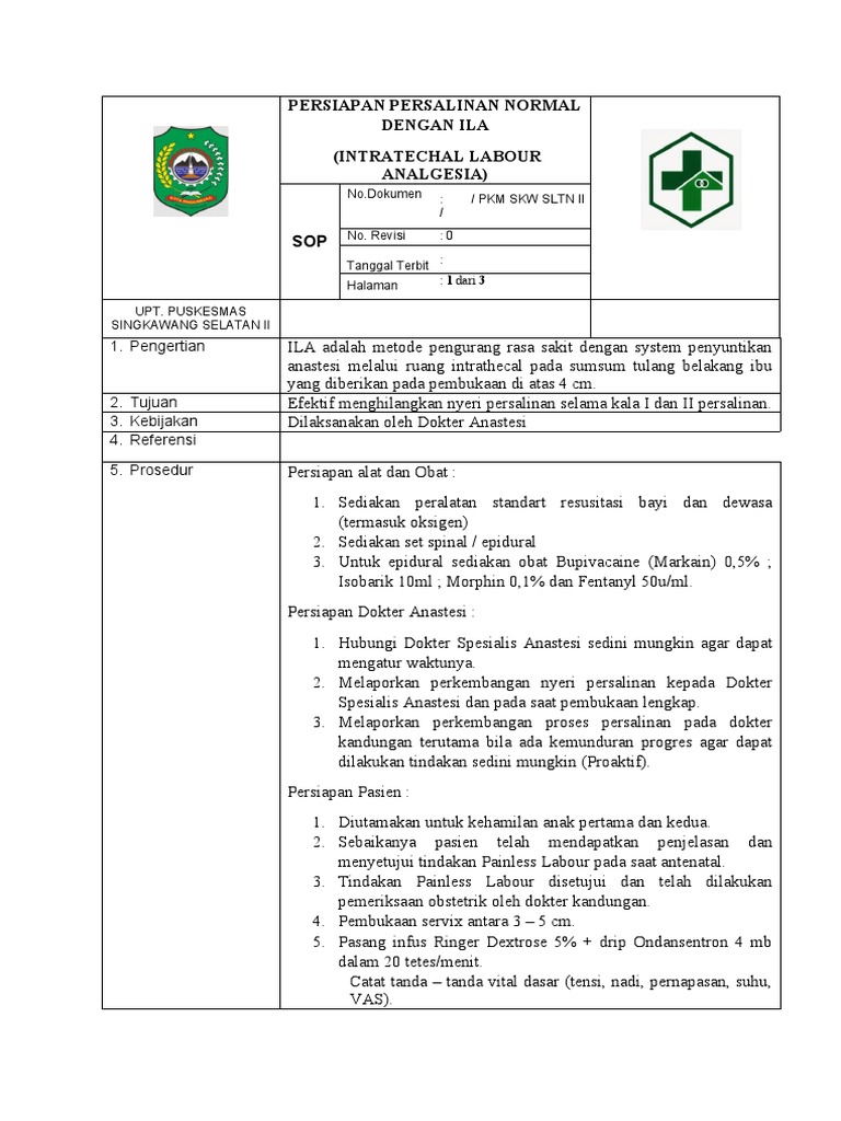 Persiapan Persalinan Normal Dengan Ila | PDF