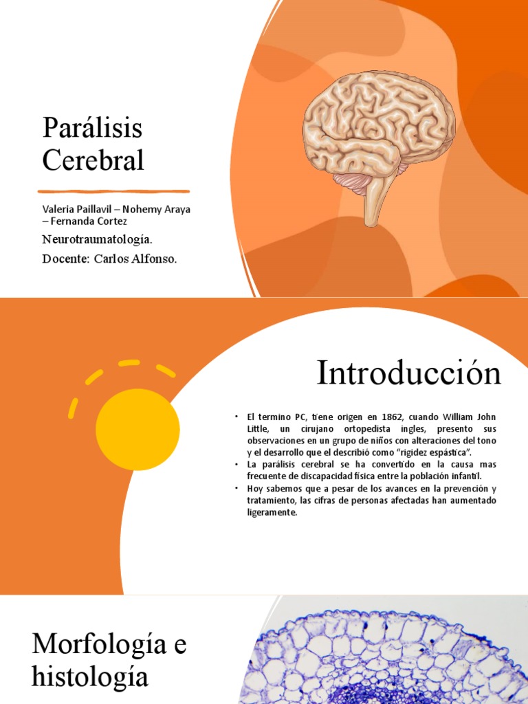 Clase Paralisis Cerebral | PDF | Cerebro | Parálisis cerebral