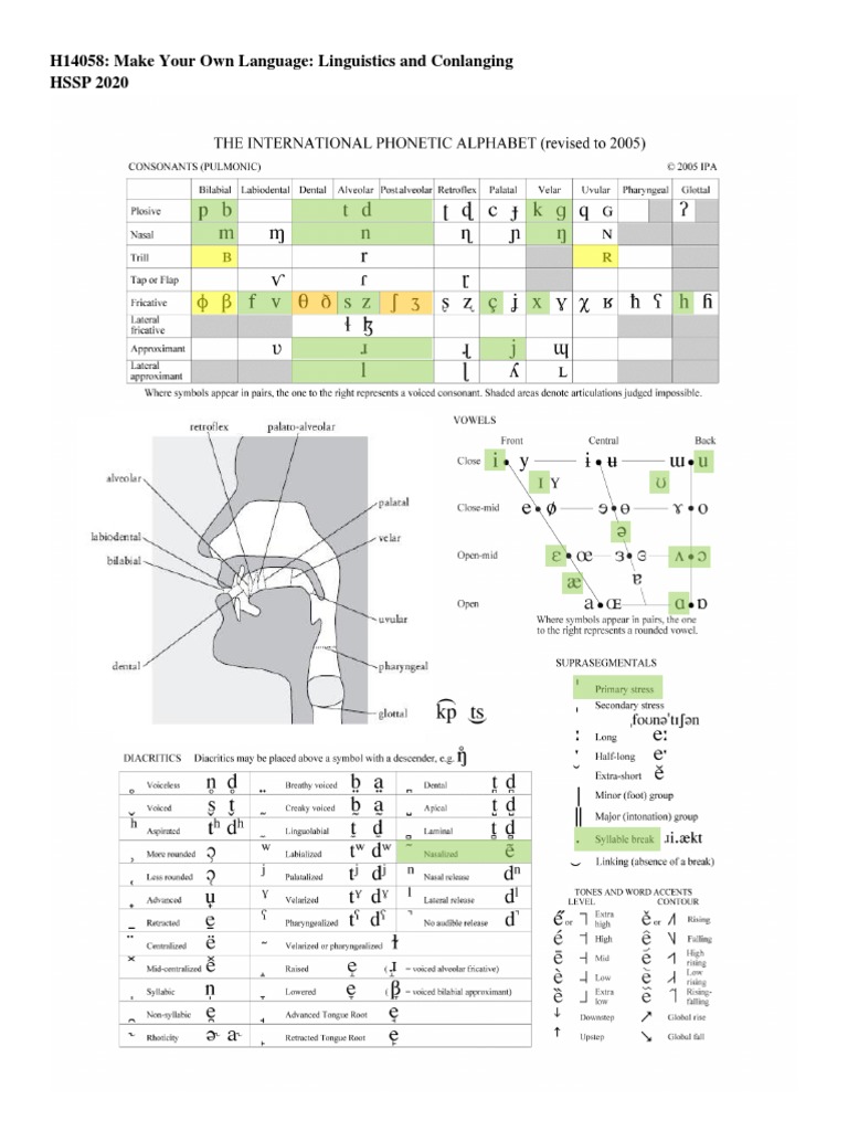 Create Your Own Conlang Guide | PDF | Linguistics | Morphology ...