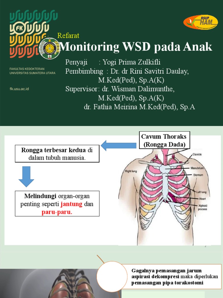 Monitoring WSD | PDF