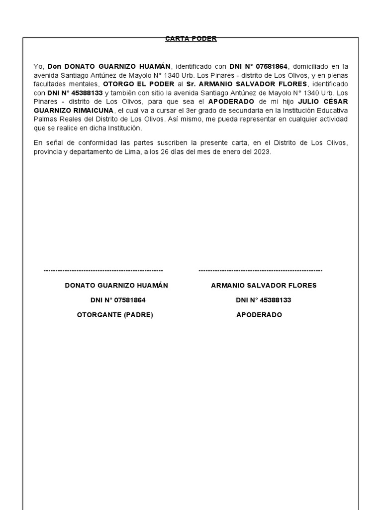 Carta Poder Simple | PDF Carta Poder Simple | PDF