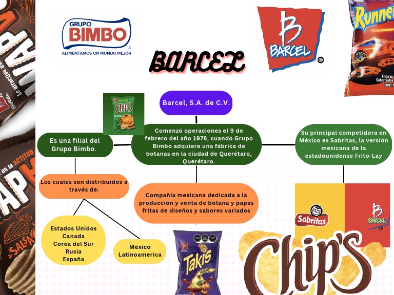 Historia y productos de Barcel S.A. | PDF