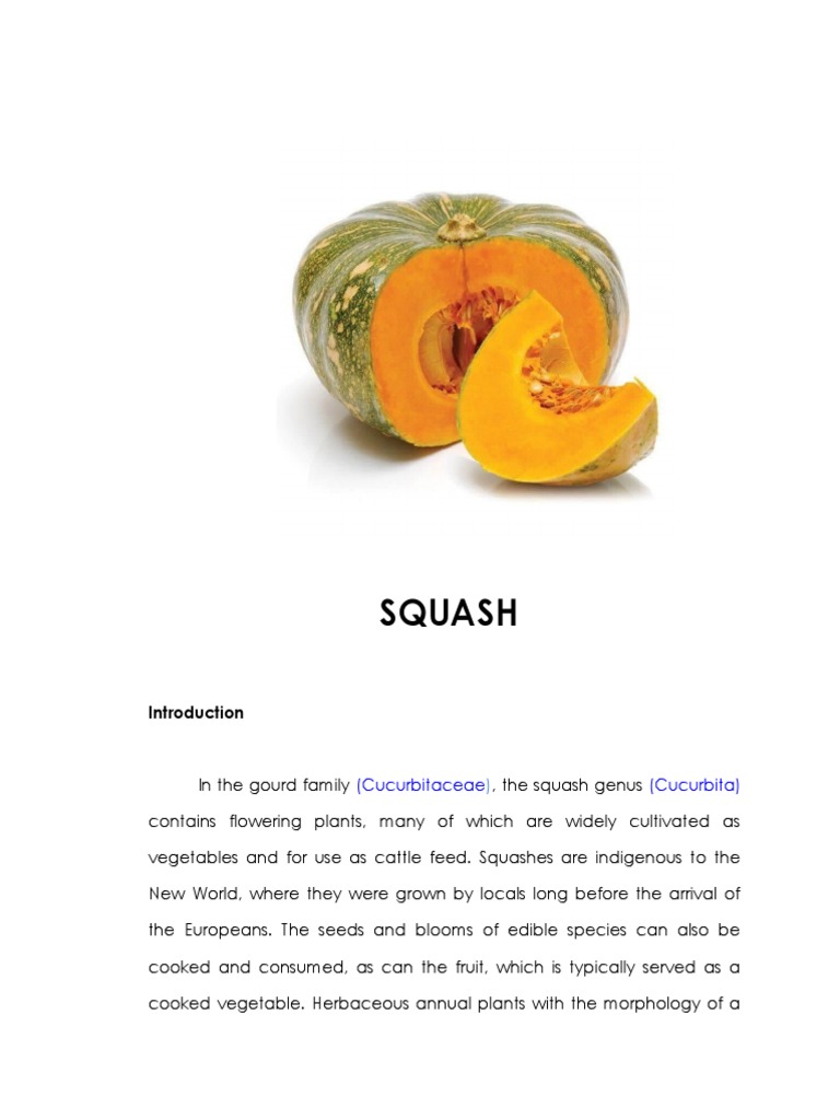 SQUASH | PDF