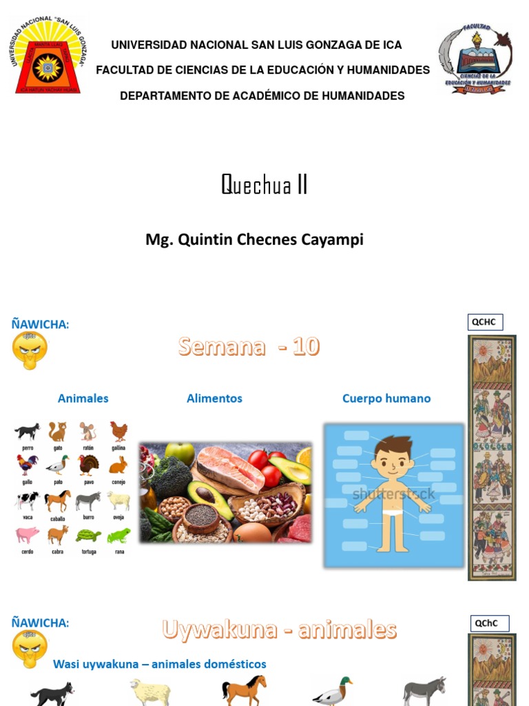 Vocabulario Quechua: Animales y Alimentos | PDF