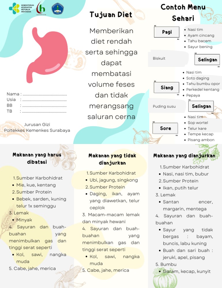 Leaflet Diet Rendah Serat | PDF