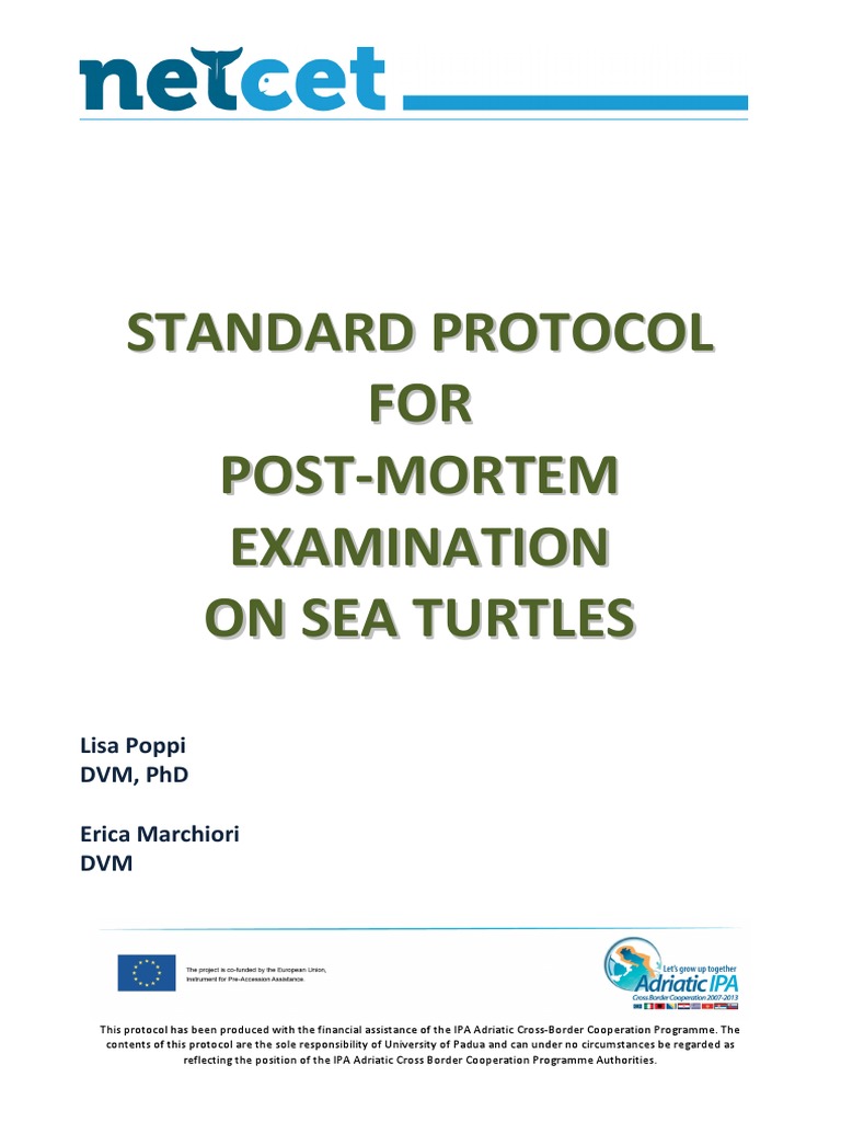 Sop Post Mortem Penyu Pdf Esophagus Gastrointestinal Tract