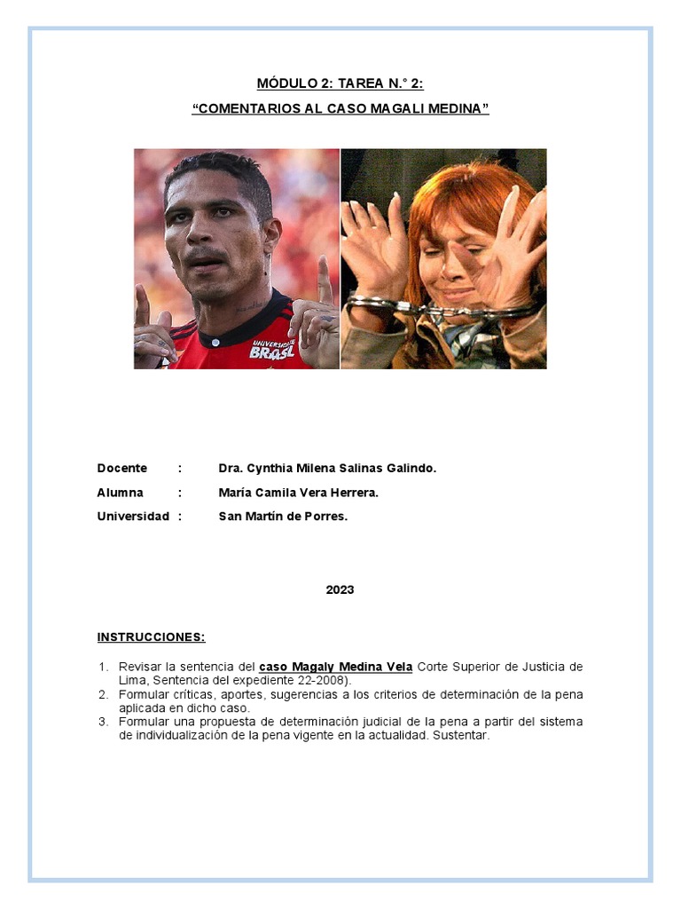 MÓDULO 2 - Tarea Caso Magaly Medina | PDF | Castigos | Multa (pena)