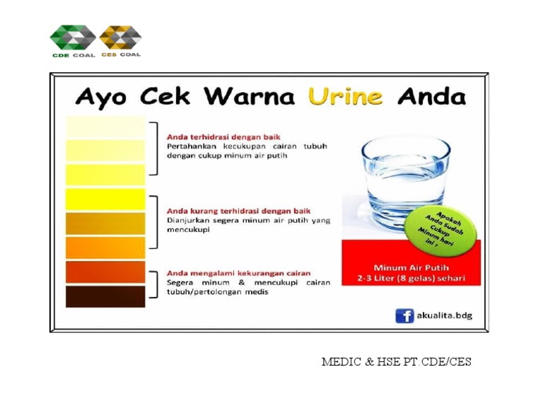 Warna Urin | PDF