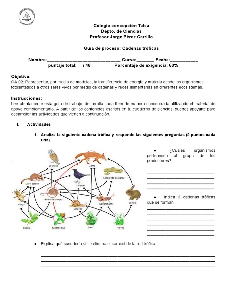 Guía Redes 6to B | PDF